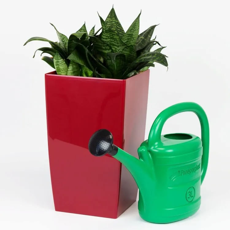 Regadera 8.0Lt Verde Prosperplast